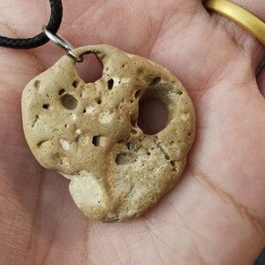 Coquina Shell Butterfly Necklace, Shell Necklace, Butterfly Necklace ...