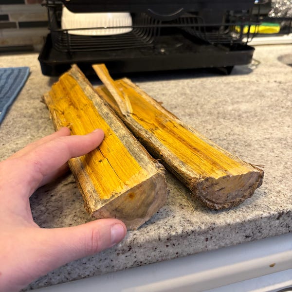 Stunning Ash Juniper Wall Art or Table Centerpiece - Nature's Elegant ...