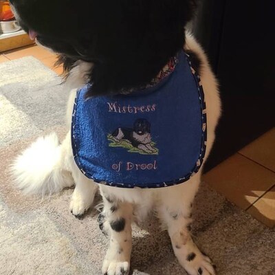 Dog Bib, Big Dog Bibs, Newfoundlander Drool Bibs, Dog Slobber Bib, Dog ...