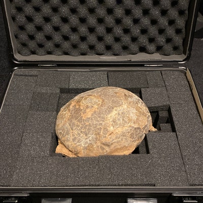 Casematix Waterproof Thermal Imager Case for Flir 1 Pro Ios , Usb C or ...