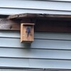 2 Cedar Bluebird Houses-hand Crafted, Rough Cut Cedar - Etsy