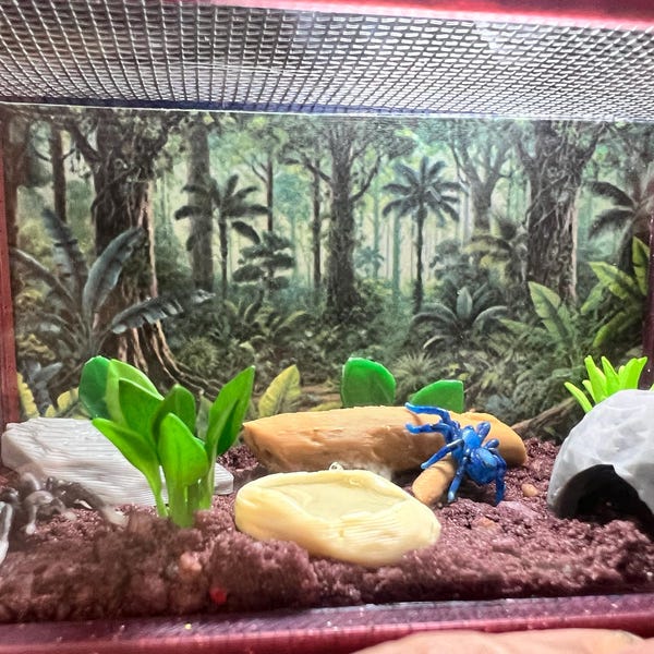 Miniature Hand Painted Betta Fish - Etsy