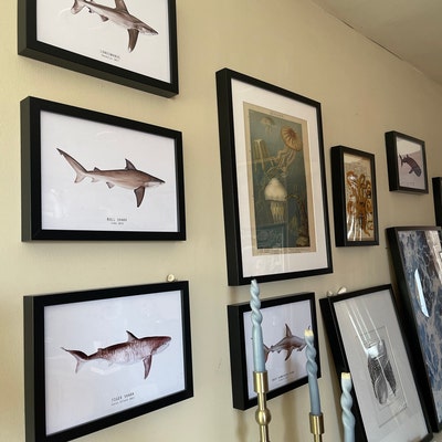 Blue Banded Bee Art Print Bee Birthday Gift Bees Wall Art - Etsy