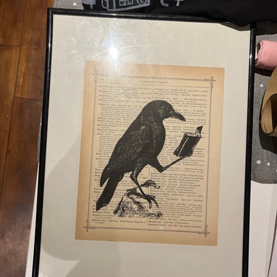 Raven Crow Reading Book Bird Dictionary Art Halloween Dark Academia ...