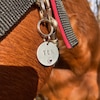 Custom Bridle Tag, Halter Tag, Horse Name Tag, Gift for Horse Lover ...