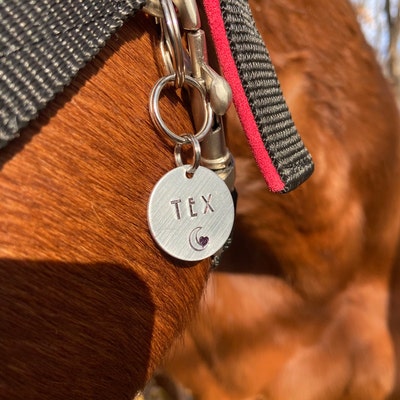 Custom Bridle Tag, Halter Tag, Horse Name Tag, Gift for Horse Lover ...
