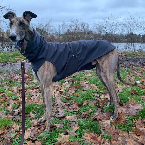 Greyhound Coat Waterproof and Windbreaker, Polar Fleece Soft Interior ...