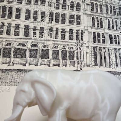 3D Printed Squirkle Pack - Etsy