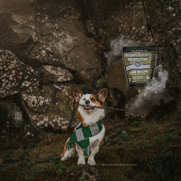 Dust Cloud Overlays, Dust Plume Overlays, Dust Overlay, Smoke Overlays ...