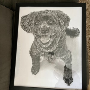 Custom Dog Drawing Dog Memorial Photo to Sketch Charcoal - Etsy
