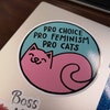 Pro Cats Sticker // Vinyl Sticker, Cute Stationery, Planner Stickers ...