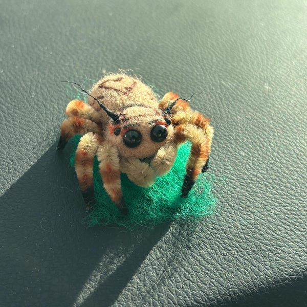 Needle Felted Jumping Spider Toy, Poseable Arachnid Sculpture - Etsy