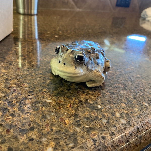 Handmade Small Western Realistic Fat Toad Figurine Gift | Personalized ...