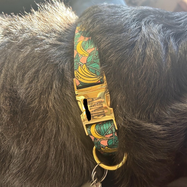 Cowgirl Chic Dog Collar Western Collar Customized Pet Collar Country ...