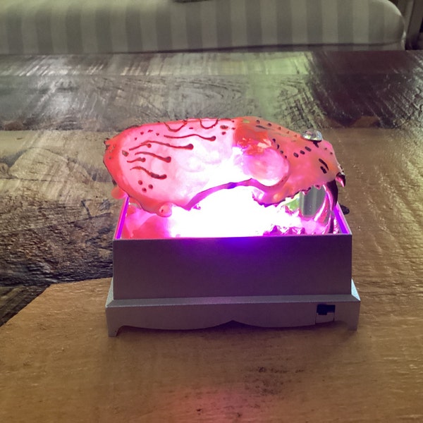 Rectangular 4 LED Crystal Light Base Display Stand Multi-color Light ...