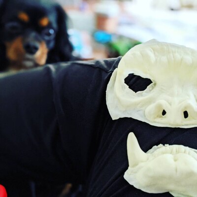 Beast Face Prosthetics V2 slip Latex - Etsy