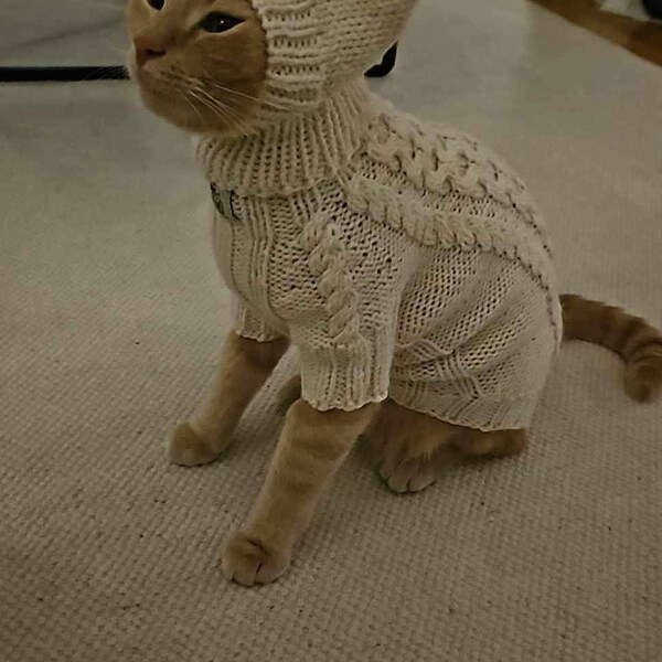 Yellow Cat Hat Hand Knit Sphynx Cat Accessories Pet Winter Beanie for ...