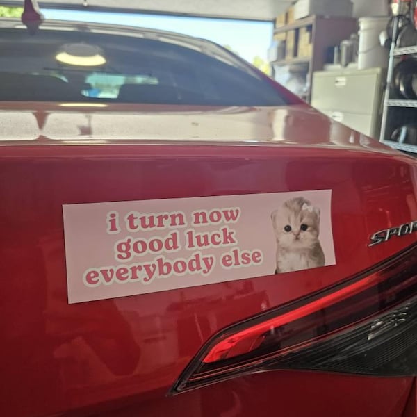 Silly Cat Meme Car Warning Sticker | Cute Kitty Caution Airbag Label ...
