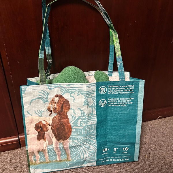 Beautiful Boer Goat Bag-teal - Etsy