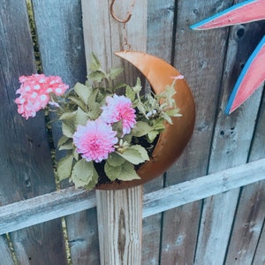 Hanging Moon Planter for Moon Room Decor Great for - Etsy
