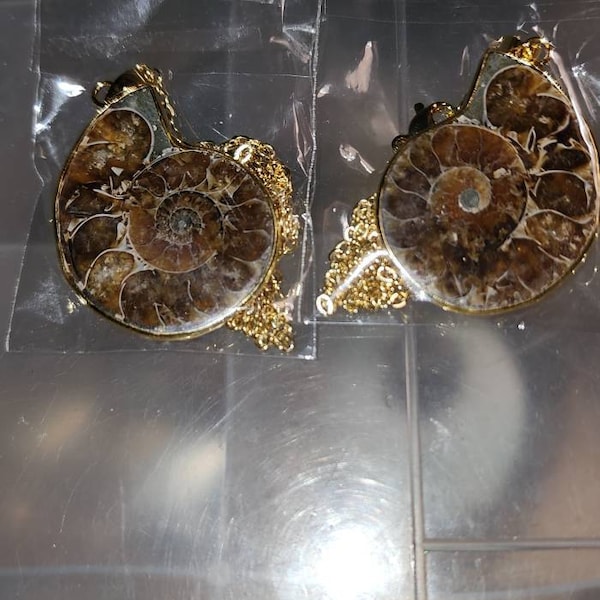 Gold Natural Ammonite Necklace - Real Fossilized Ammonite Pendant With ...