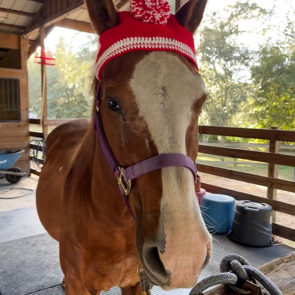 Crochet Horse Bonnet - Etsy