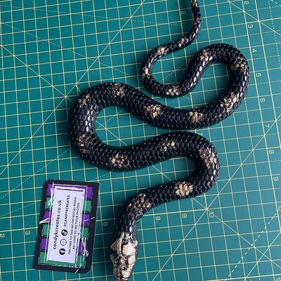 Snake Wall Hanging, Snake Wall Art, Alt Home Decor, Unusual Gift, Snake ...