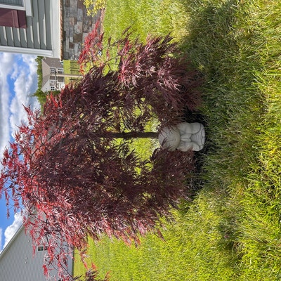 Funny Stone , Stone Face Figurine, Meme Funny Stone, Stone Carving Face ...