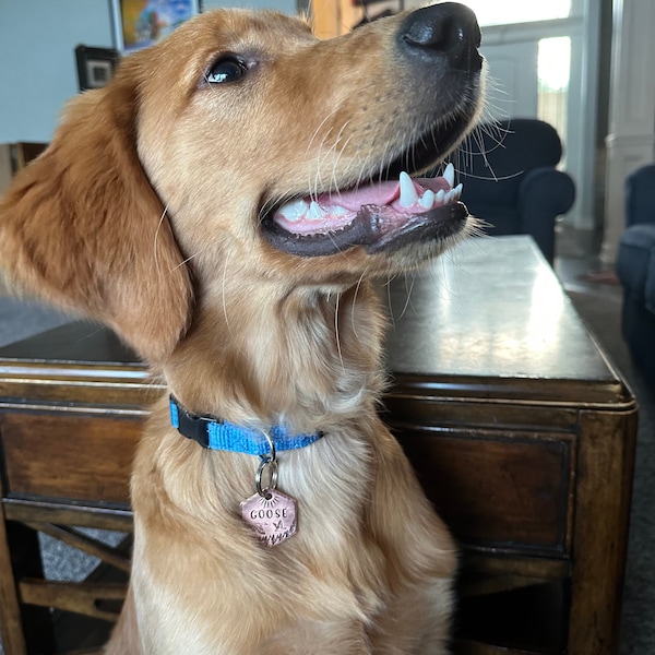 Goose Dog Tag, Dog Tags for Dogs, Pet Id Tag, Personalized, Custom ID ...