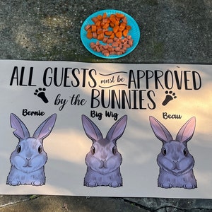 Welcome to the Rabbit House Doormat Bunny Welcome Doormat - Etsy