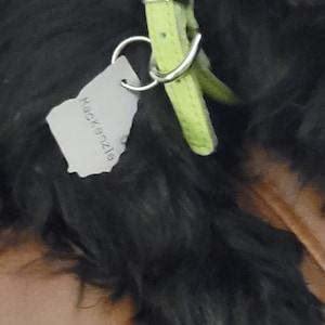 State of Michigan or Select Your State Pet Name Tag Medium - Etsy