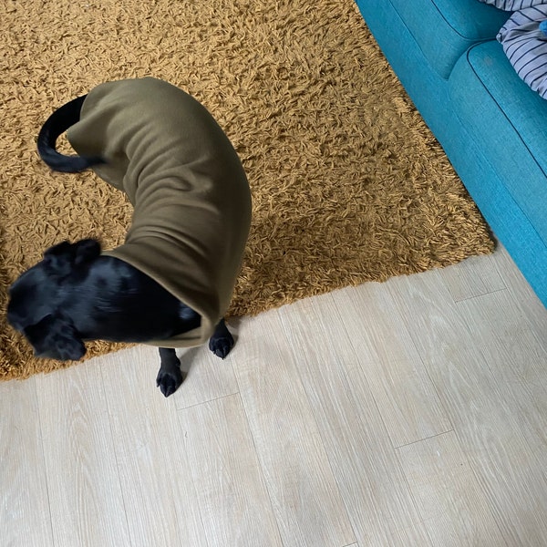 Dog Fleece Polo PDF Sewing Pattern Sizes XXS to 3XL (8 Sizes) Instant ...