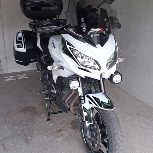 3D Resin Stickers Engine Guards Compatible With Kawasaki Ninja 1000 SX ...