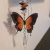 Hummingbird Crystal Suncatcher Gift, Window Hanging Lightcatcher Prism ...