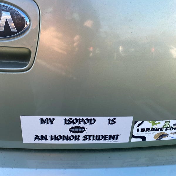 Isopod Honor Student | Bumper Sticker - Etsy