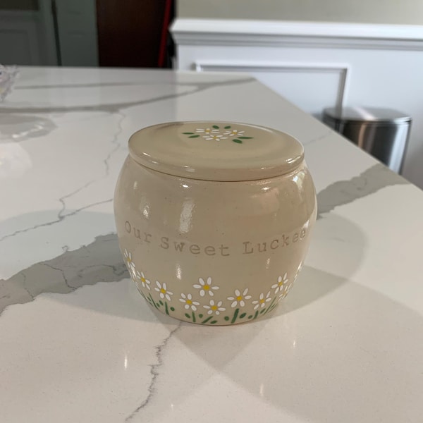 Personalized Daisies Ceramic Urn: Custom Cremation Jar for Ashes, Pet ...
