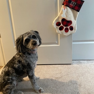 Santa Paws Santa Sack Pet Santa Bag Drawstring Sack - Etsy