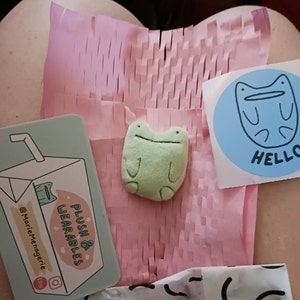 Choice of One Mini Squishy Frog Mochi Minky Nugget Plush - Etsy