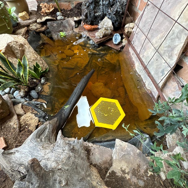 Floating Bee Island, Bee Waterer, Bee Water Station, Colorful Bee ...