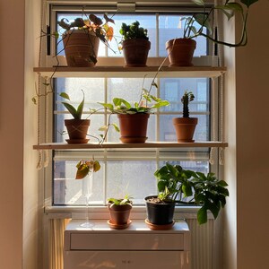 Hanging Window Shelves Window Plant Shelf 2 Tiered - Etsy