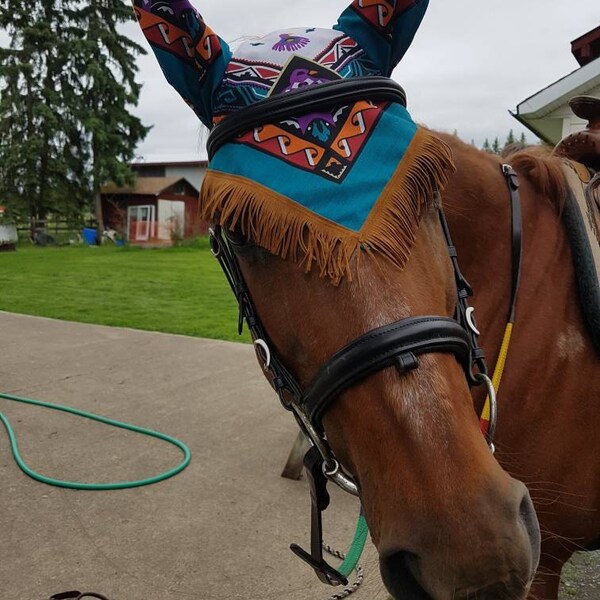 Fly Bonnets W/fringe in All Equine Sizes - Ear Covers, English, Western ...