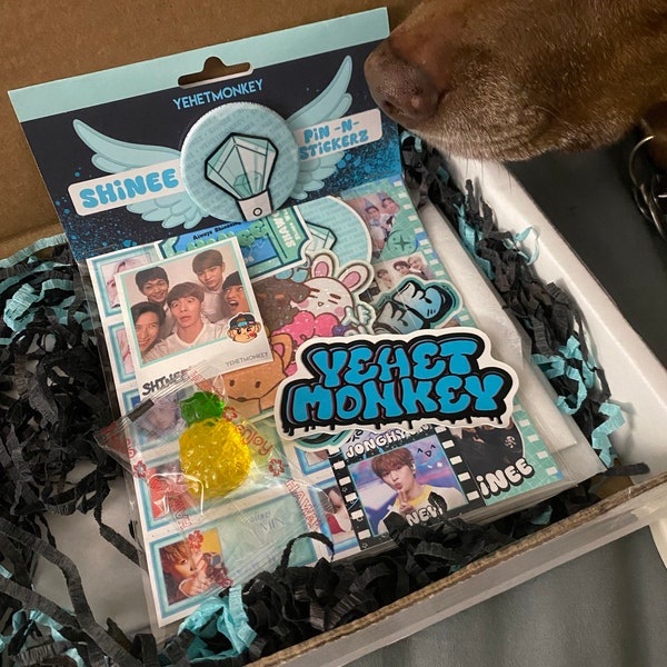 Kpop Groups Cassette Journal Stickers With Music Scan Code INDIVIDUAL ...