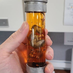 SCP-1104 Nose Crab Object Class: Keter / Cosplay / Creepy - Etsy