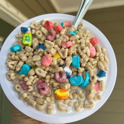 Hanging Faux Food Cereal Wall Art Decor Bespoke Lucky Charms Fruit ...