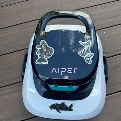 Magnet Set 7 Cephalopods, Flamboyant Cuttlefish, Pajama Squid, Nautilus ...