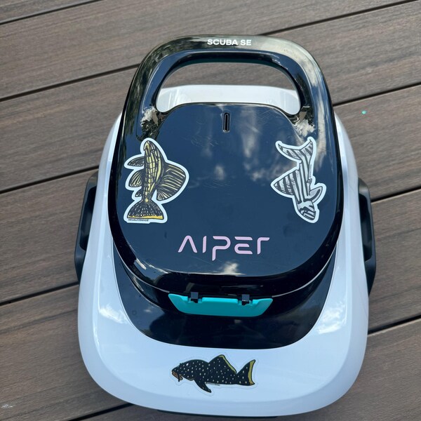 Tiger Shark Sticker - Elasmobranch, Shark Gift, Dang Cute Fish - Etsy