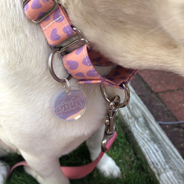 Custom Pet ID Tag for Dogs and Cats | Personalized Hologram Acrylic ...