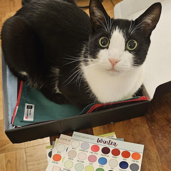 DIY Essential Color Analysis Draping Kit: At-home Color Season Palette ...