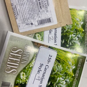 Phlox Seeds 125 Seeds Blue Moon Garden Bloom Flower Seed Flowers Garden ...