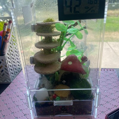 Jumping Spider Food Dish Jumping Spider Enclosure - Etsy